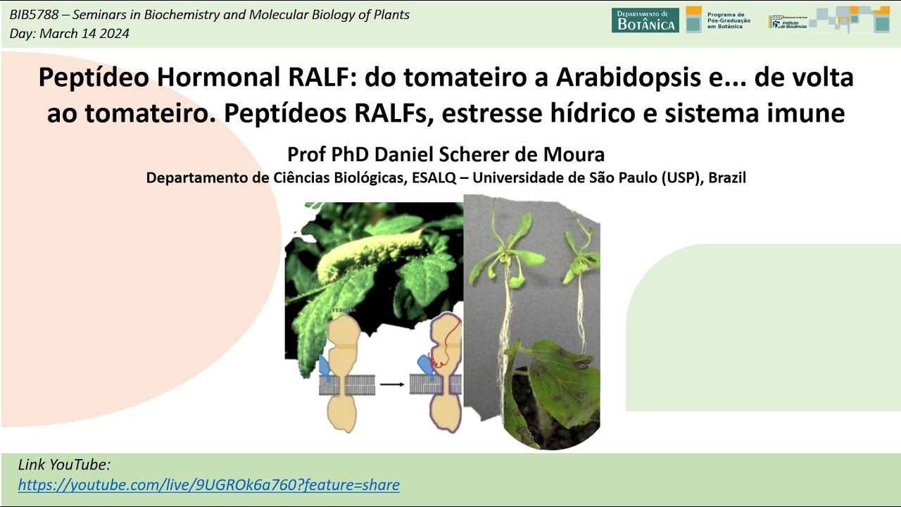 BIB5788 Prof. Dr. Daniel Scherer de Moura (ESALQ-USP) - YouTube