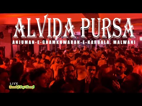 🔴Alvida Pursa | 11/09/24 | Zakir e Ahlebait Shahid Mirza sb | Tahsin Zaidi Hany Resi Gate 7 Malwani