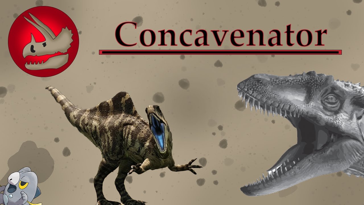 Concavenator | The Hunchback Hunter | Dino Basics - YouTube