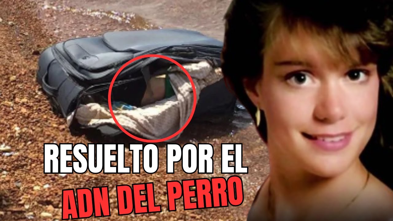 Una joven madre dejó el trabajo y DESAPARECIÓ. Lo que le ocurrió a ...