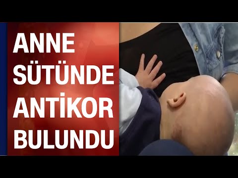 Koronavirüse karşı anne sütü