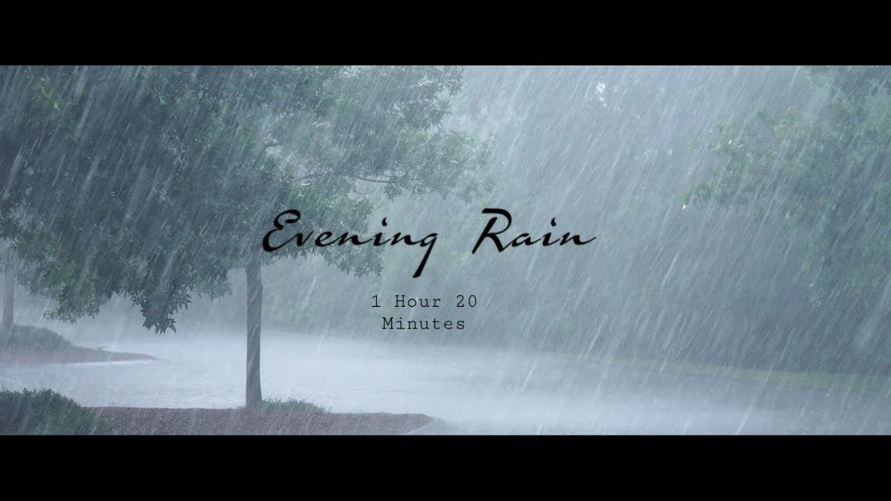 Evening Rain: Sleep + Relaxation: 1 Hour and 20 minutes - YouTube