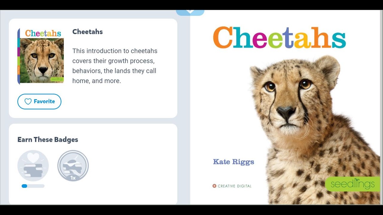 Cheetahs By: Kate Riggs Read Aloud from Yosef for kids - YouTube