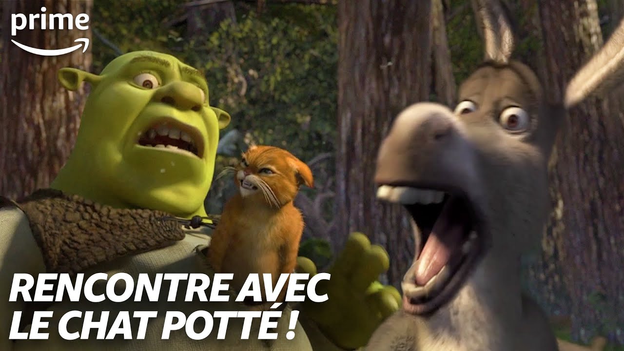 La première apparition du CHAT POTTÉ | Prime Video - YouTube