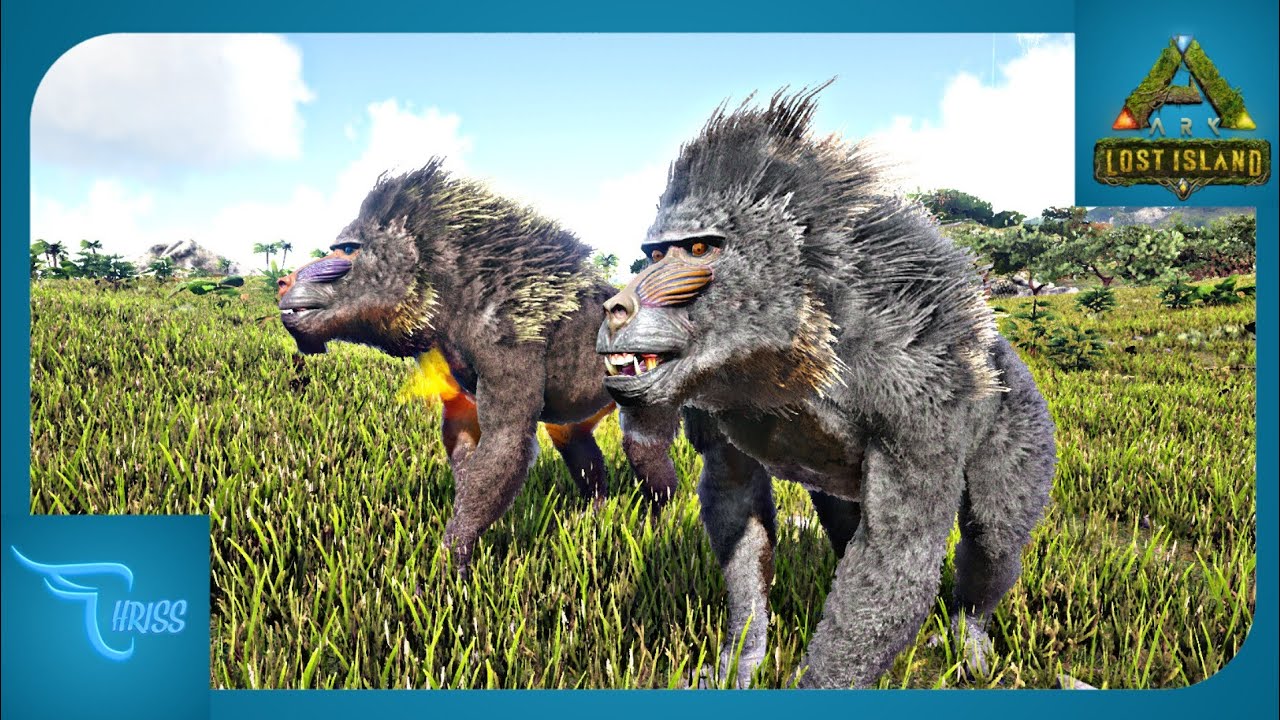 CARA MUDAH TAMING DINOPITHECUS || Ark Lost Island - YouTube