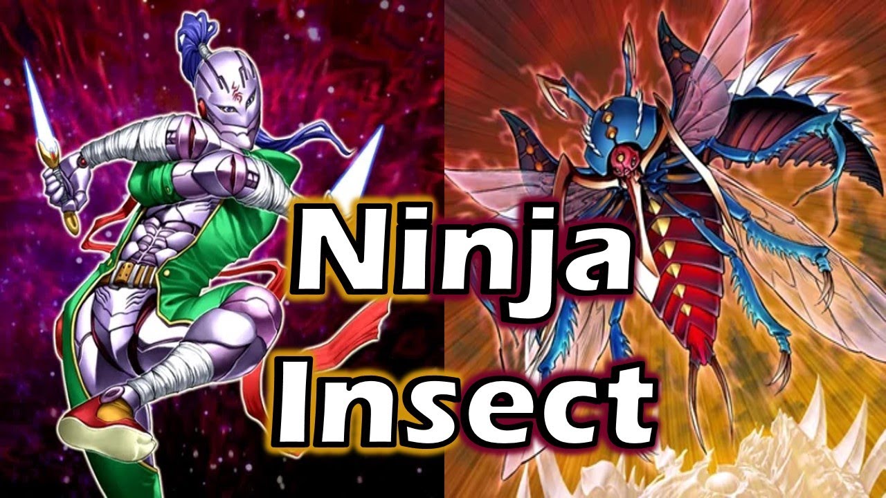 Testing: Ninja Insects |Yu-Gi-Oh! Ultimate Masters World Championship ...