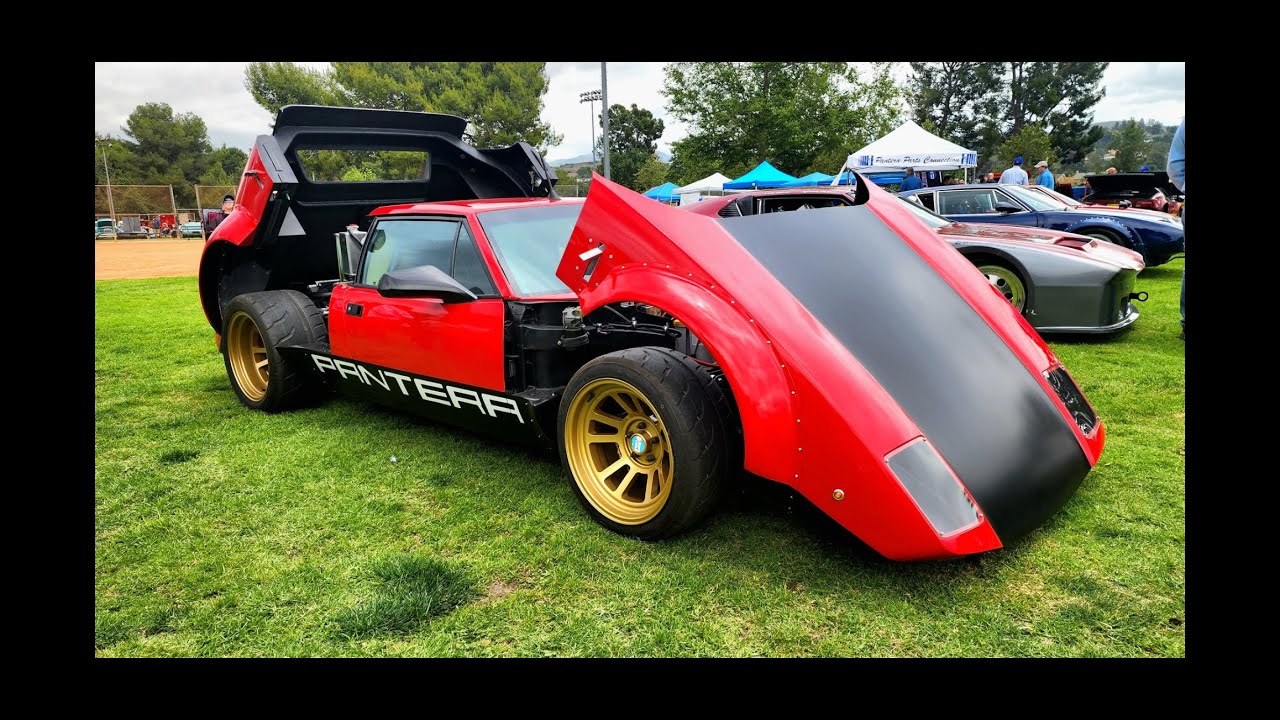 Pantera Palooza 2025! | World's Largest Pantera Gathering | 80+ show up ...