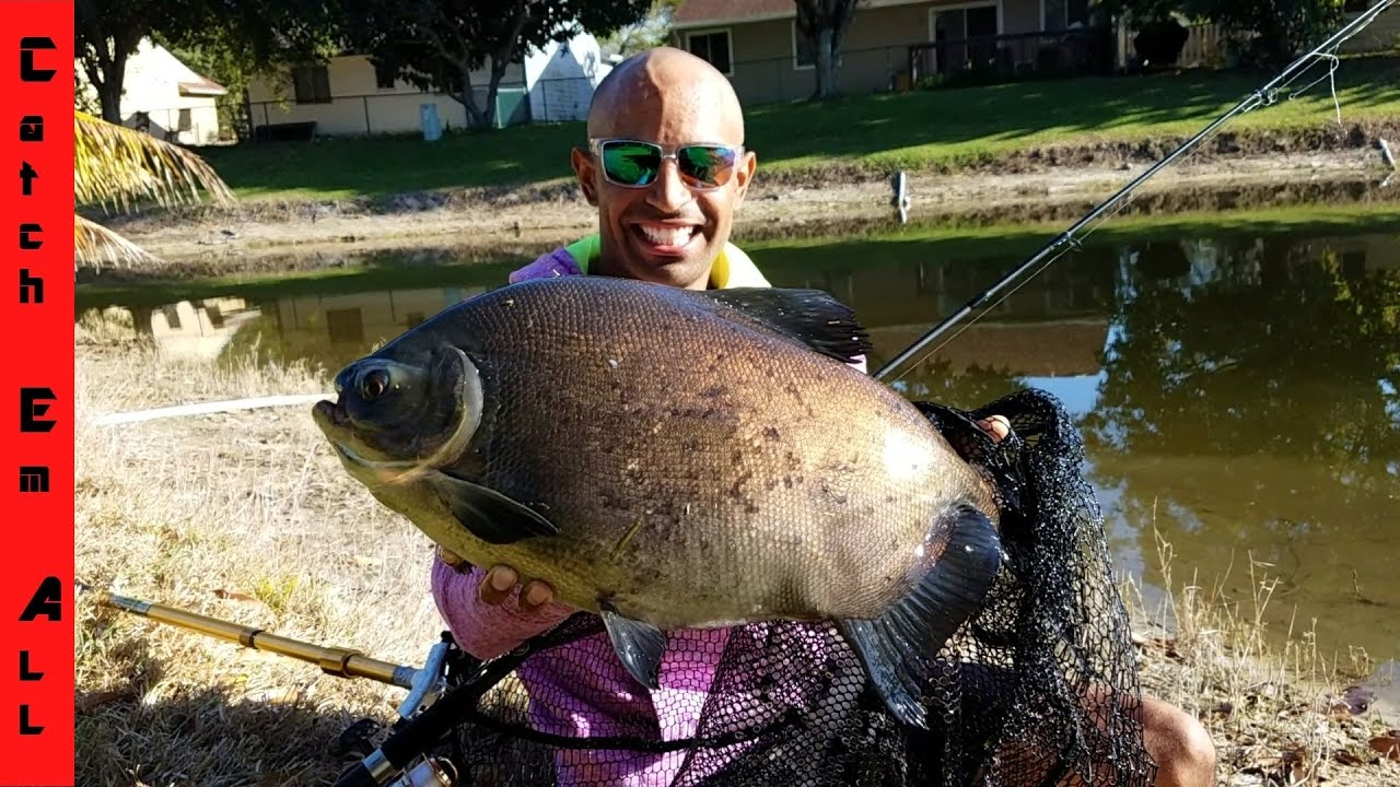 CATCHING MY PET MONSTER PACU! - YouTube