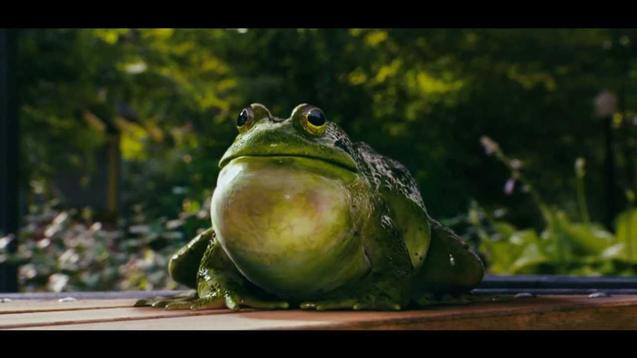 Let out your inner beast with ZOOKEEPER! - YouTube