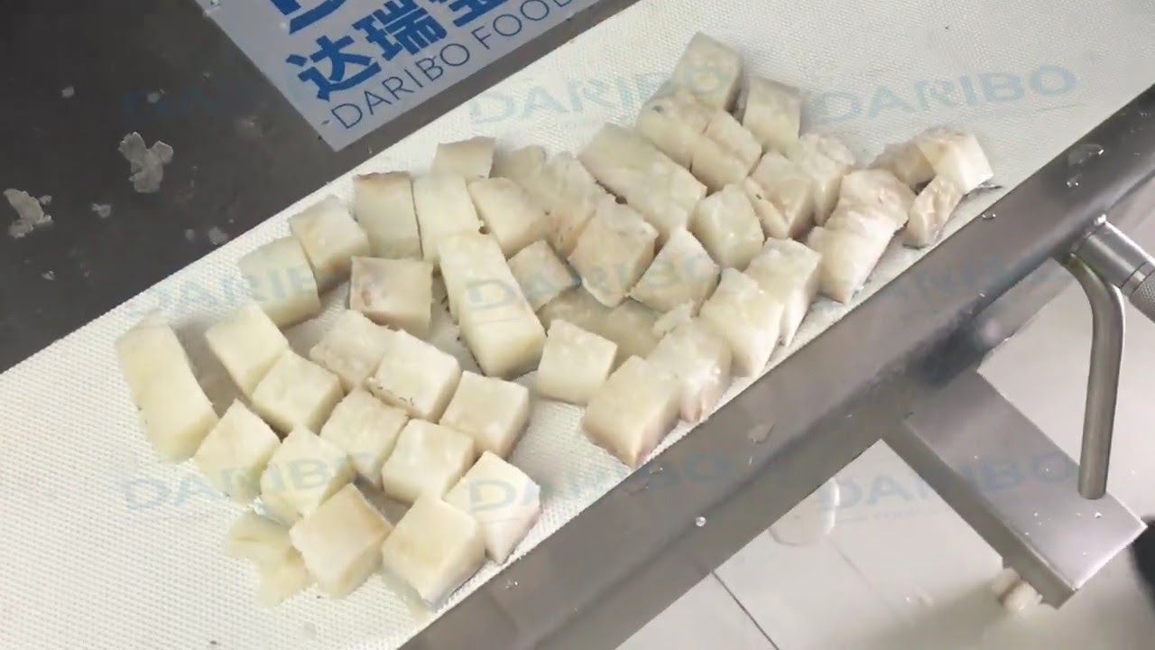 Fish Cutting Machine: Fish Cubes with 2 Time Cutting - YouTube