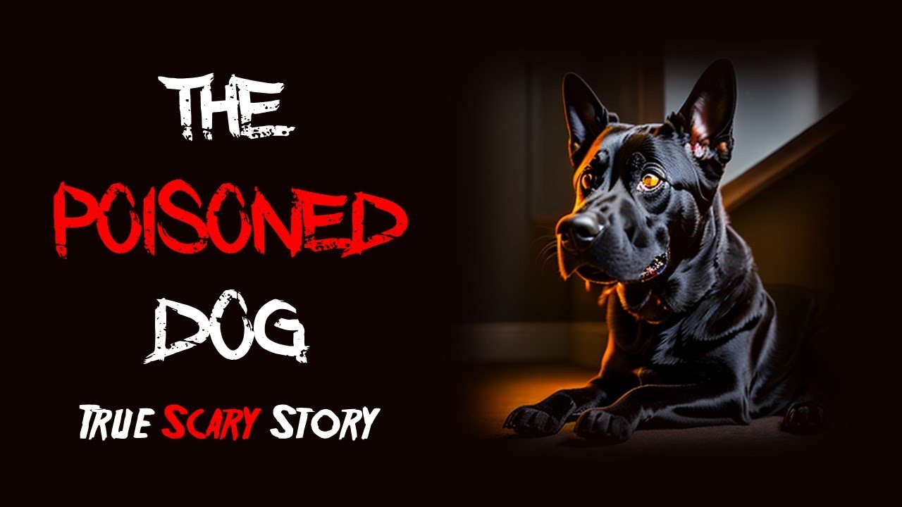 The Poisoned Dog | True Scary Story | True Horror Story | Scary Telling ...