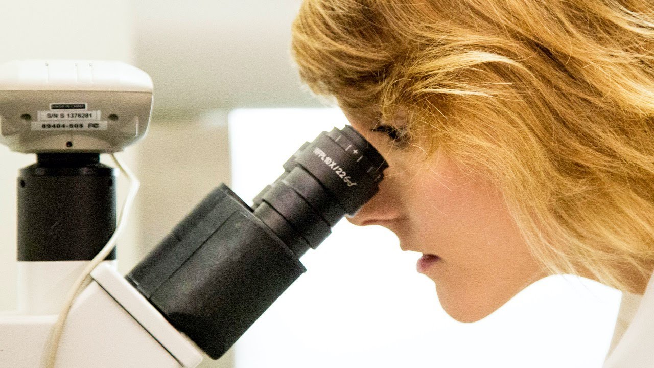 USC Viterbi Biomedical Engineering Faculty Roundtable - Fall 2020 - YouTube