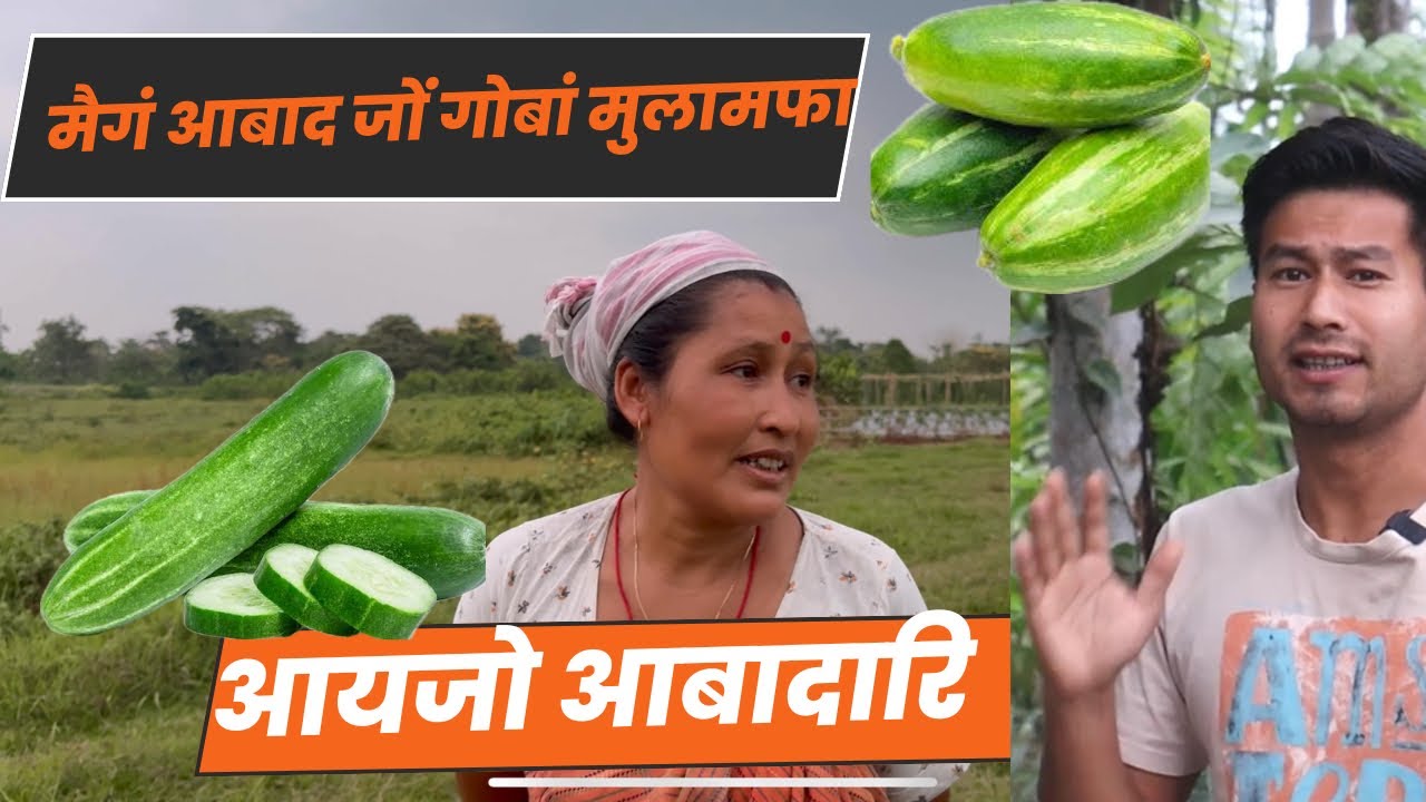 Bodo Women Farmer | Profitable Vegetable Farming in Kokrajhar || आबाद ...