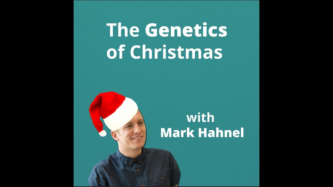 The Genetics of Christmas - YouTube