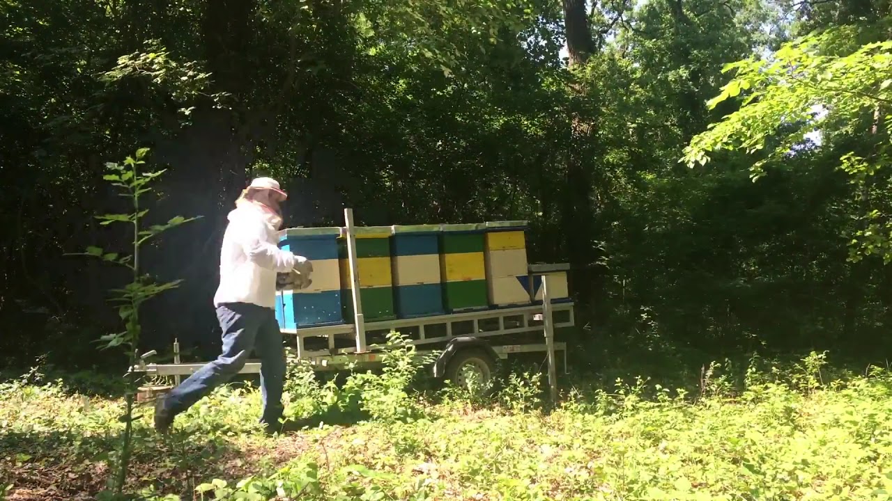 Beekeeping platform/ Pčelarska platforma - YouTube