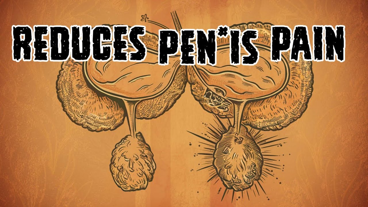 5 Exercises To REDUCE Prostate Size And Boost Men's Health - YouTube