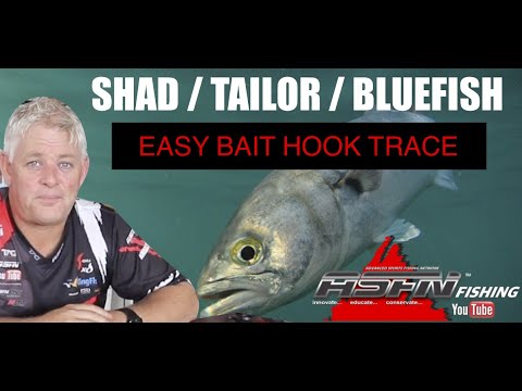 Traces | Shad easy bait hook trace - YouTube