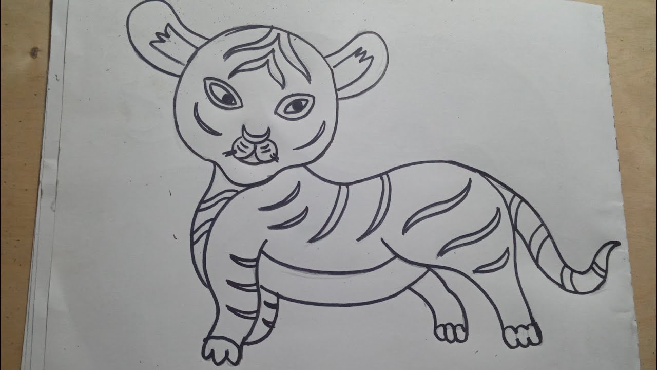 رسم نمر كيفيه رسم نمر صغير خطوة بخطوة🌹how To Draw A Small Tiger For Beginners Youtube