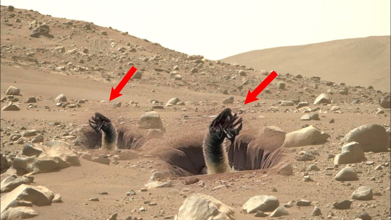 Mars perseverance rover captured 4k stunning video footage of mars ...