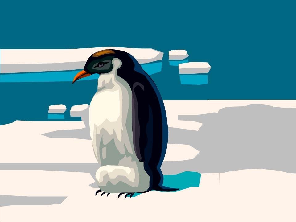 Riddle #73 - North Pole Bear - YouTube