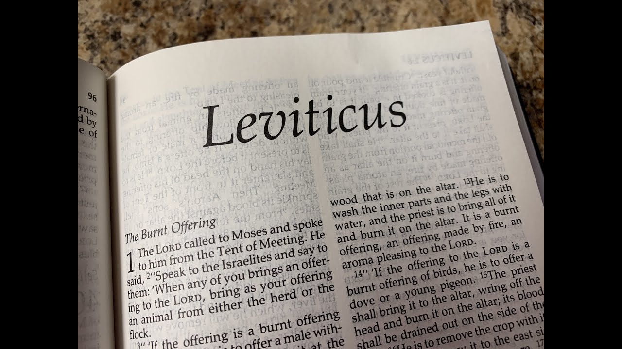 Leviticus Chapter 17 - Laws To Keep Israel Honest - YouTube