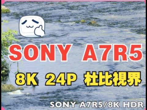 A7R5 8K 24P HDR拍攝 紅冠水雞 #A7R5 #8khdr #8kvideo - YouTube