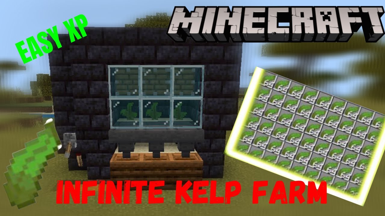 BEST EASIEST KELP XP FARM / BONEMEAL FARM FOR MINECRAFT | EASY FARM ...