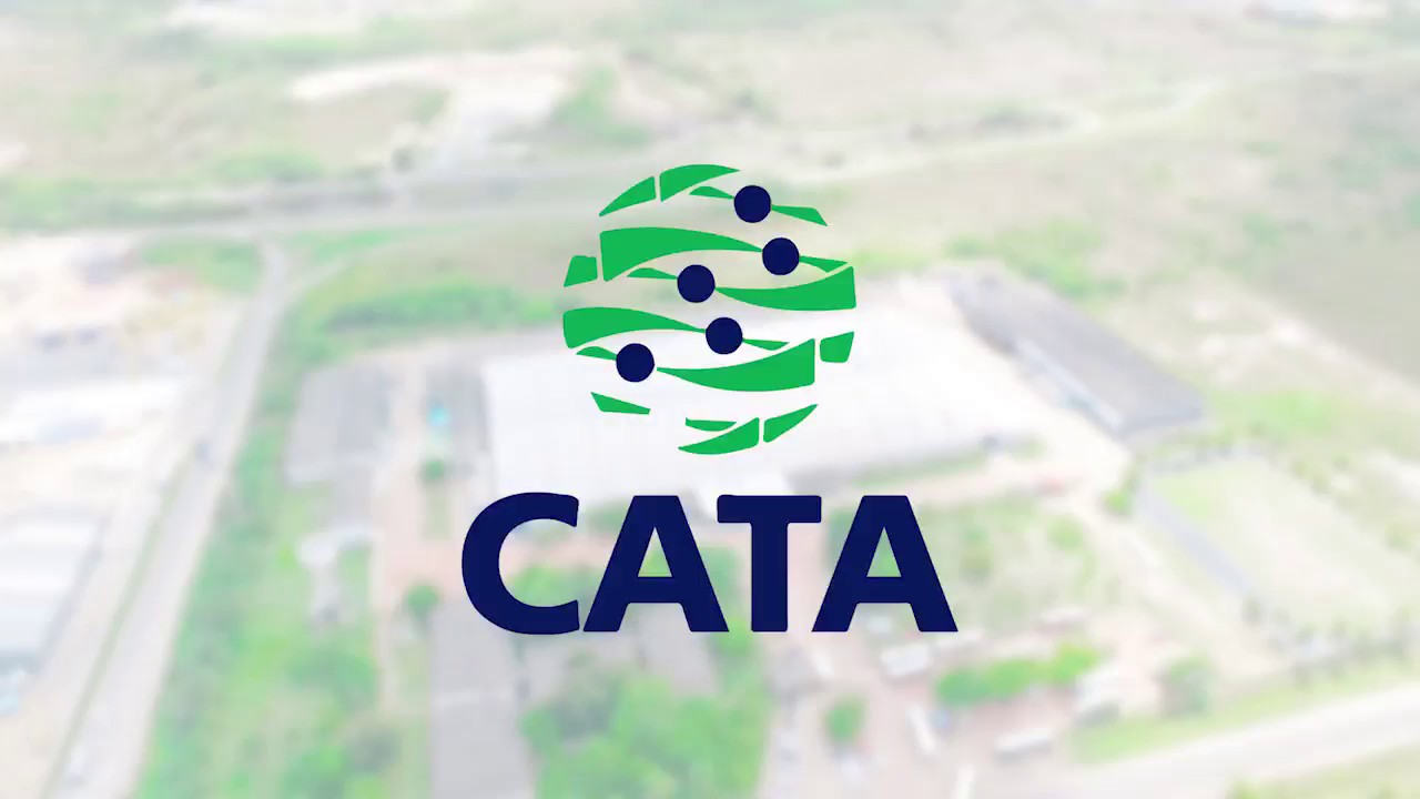 Indústria Cata - Grupo Cata - YouTube