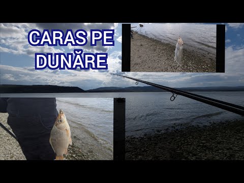 CARAS MARE PE DUNARE LA MEHEDINTI PORTILE DE FIER PLEACA GREU VREME ...