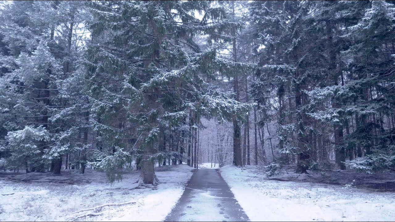 Snow Loops Ver. 2.1 / N + 1 Loops - YouTube