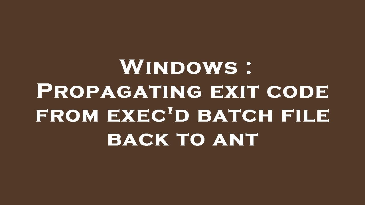 Windows Propagating Exit Code From Exec d Batch File Back To Ant Windows Propagating Exit Code From Exec d Batch File Back To Ant