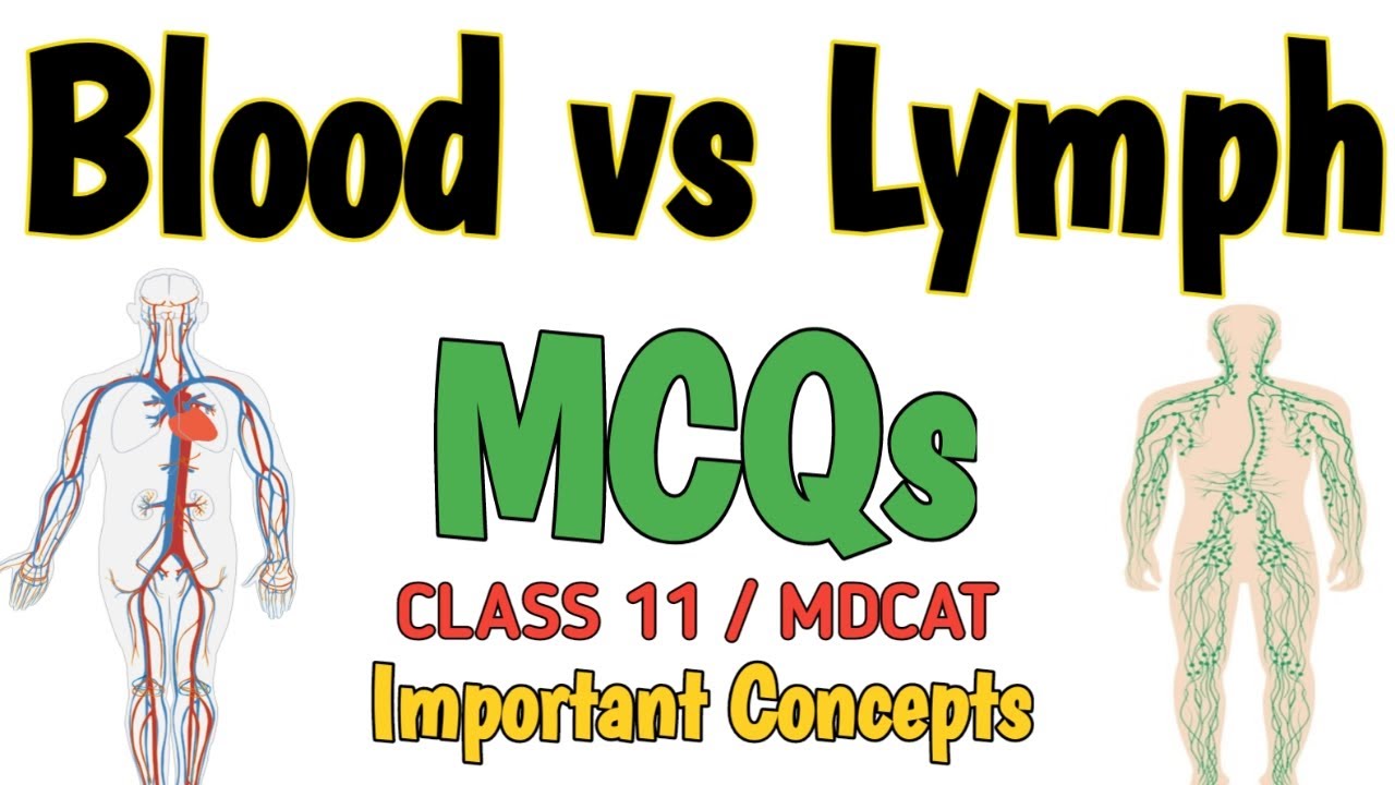 BLOOD VS LYMPH | MCQS | CIRCULATION | BIOLOGY 11 and MDCAT | NEET - YouTube