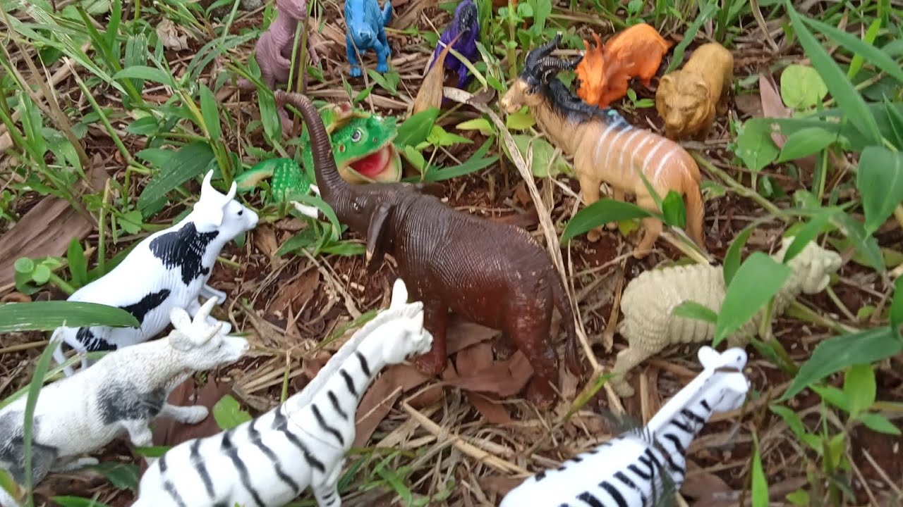 menemukan banyak mainan hewan,zebra sapi susu kerbau gajah dinosaurus ...