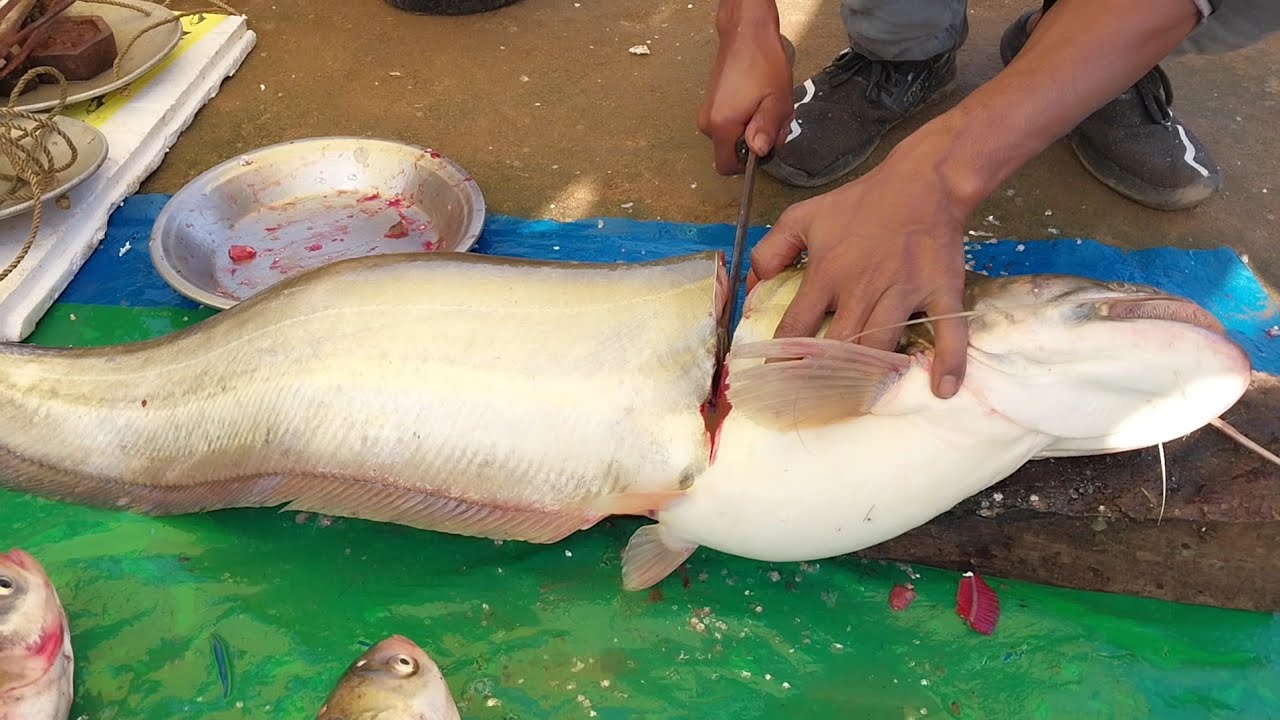 Indian Boy's Amazing Daily Boal Fish Cutting Skills | Boal Fish Cutting ...