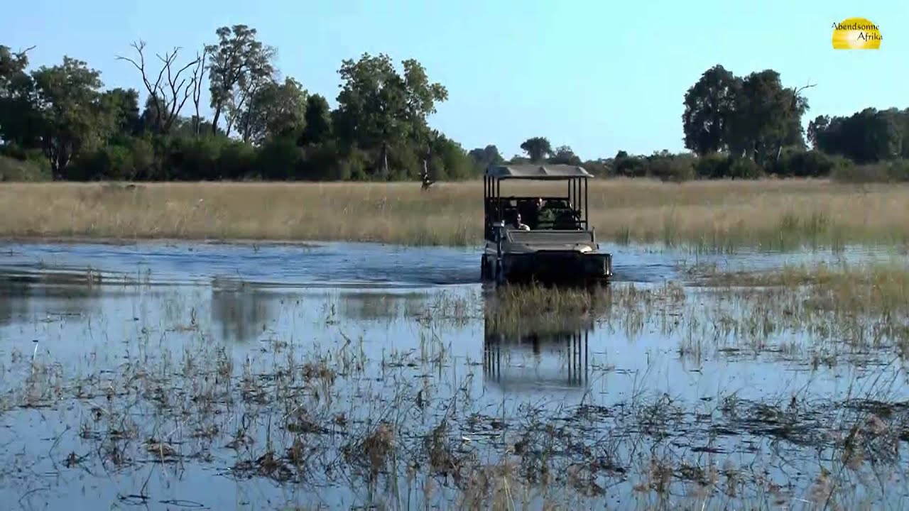 Duba Plains Camp, Okavango Delta, Botswana - YouTube