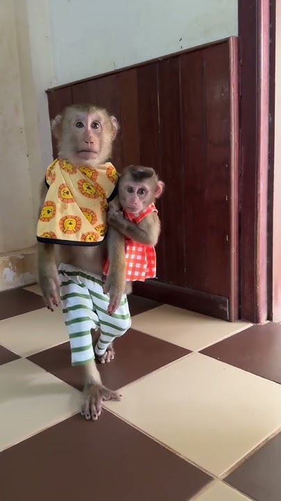 OMG Linda Cling To The Back Two PoPo To In Home - YouTube