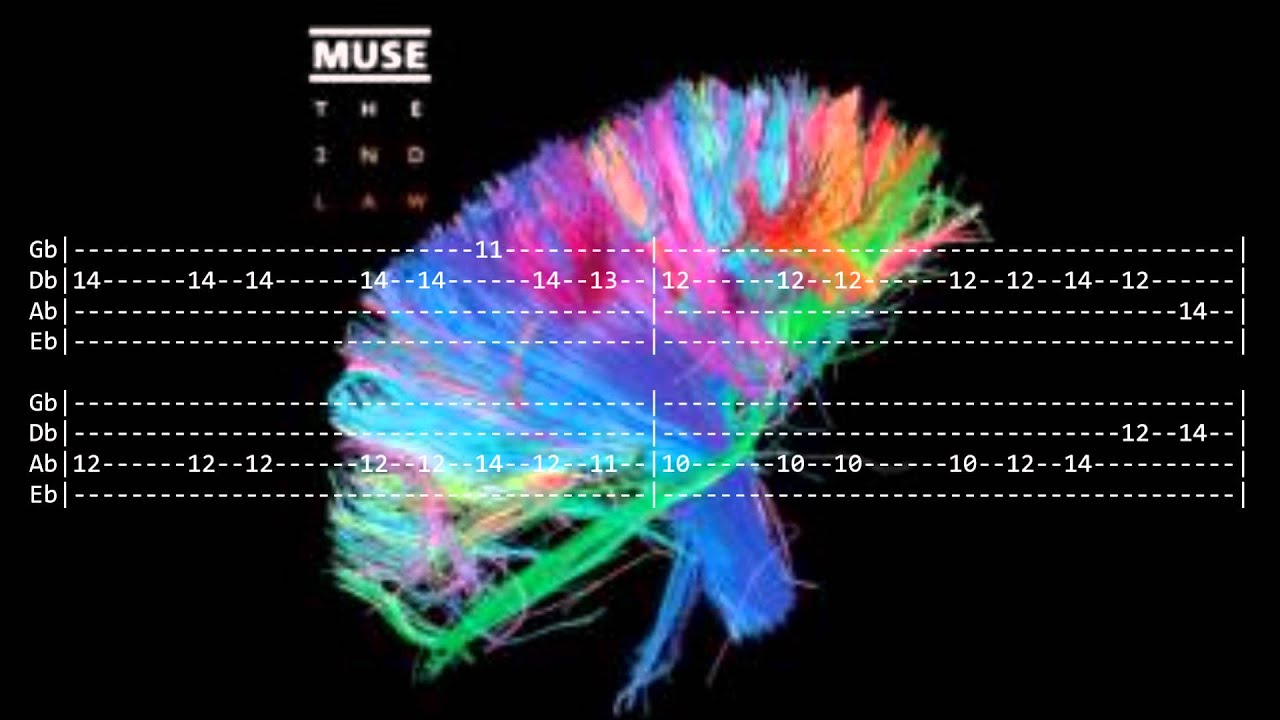 Muse - Animals bass cover with TAB - YouTube