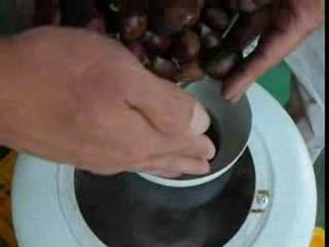 Introducing Creative Chestnut Peeling Machine - YouTube
