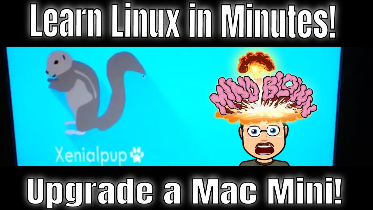 UPDATE your Mac Mini with Puppy Linux | Learn Linux in Minutes! - YouTube