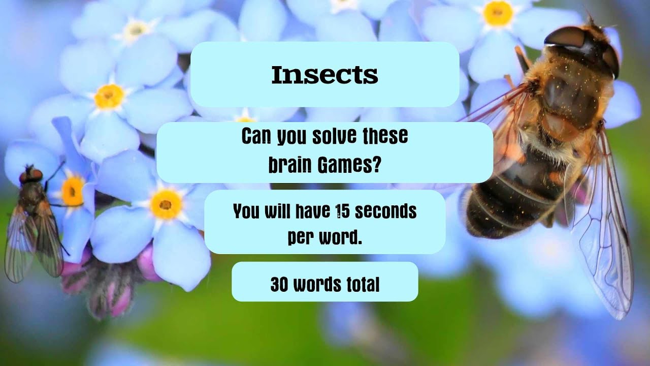 SCAMBLE! - The Fun, Addictive Game of Word scramble with Easy to Follow ...