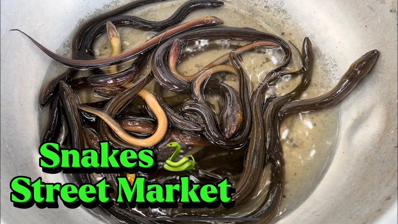 Fresh Snake Market | Street Market - YouTube
