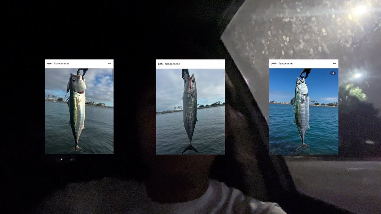 Fish After Fish After Fish After Fish - YouTube