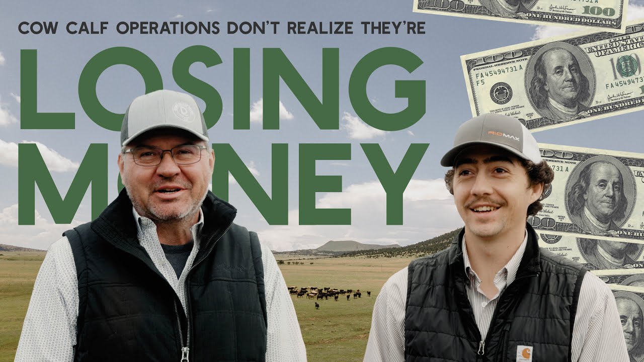 Most Cow/Calf Operations Don't Realize How Much Money They're Losing ...