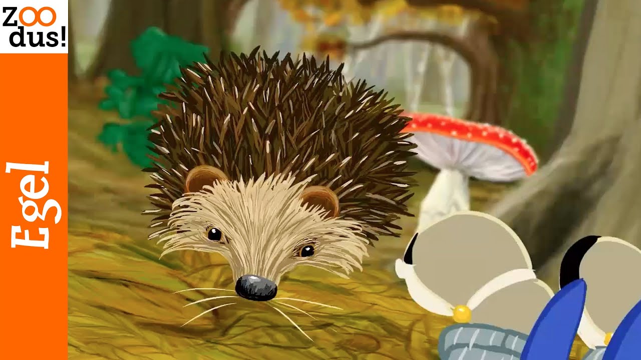 Alles over de egel! - YouTube