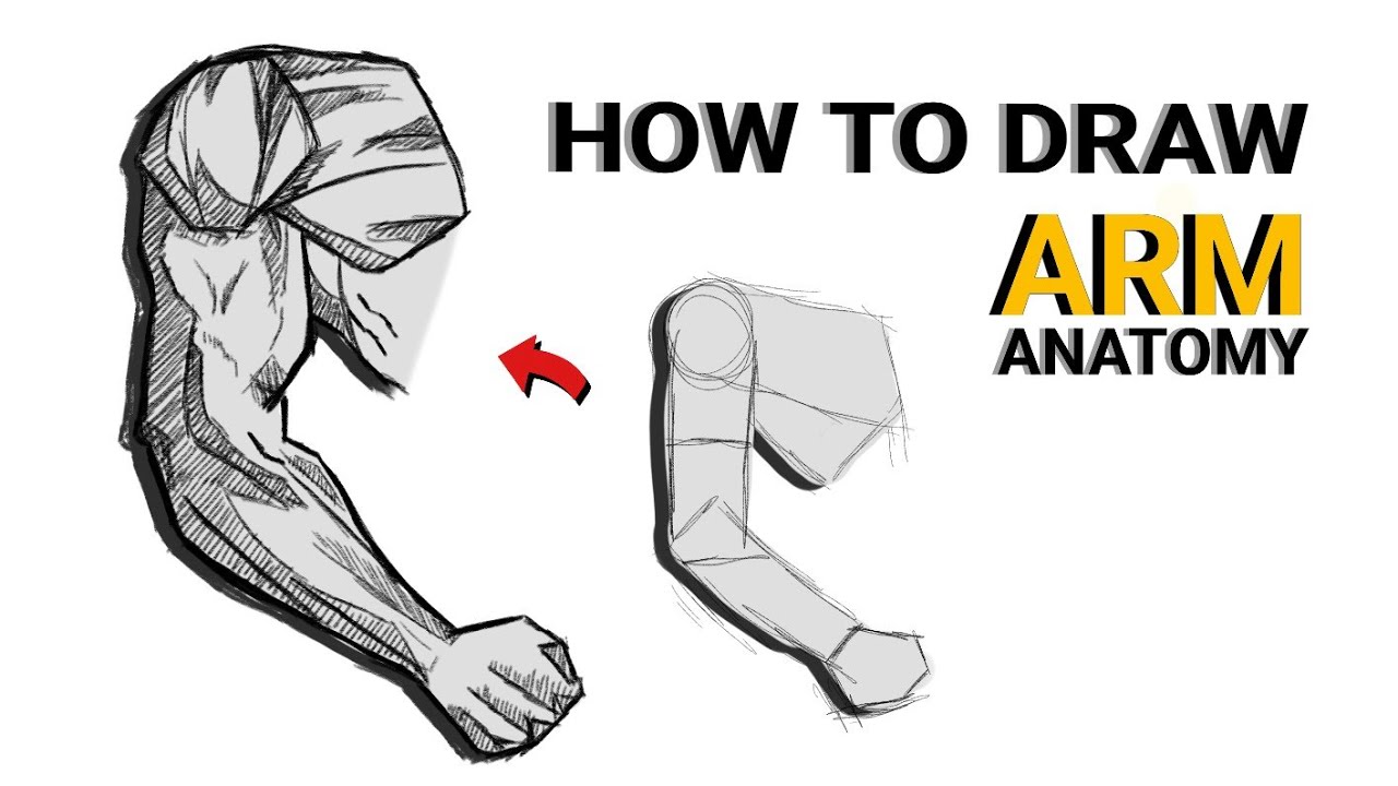 Easy Arm Anatomy Drawing For Beginners || Easy to Draw - YouTube