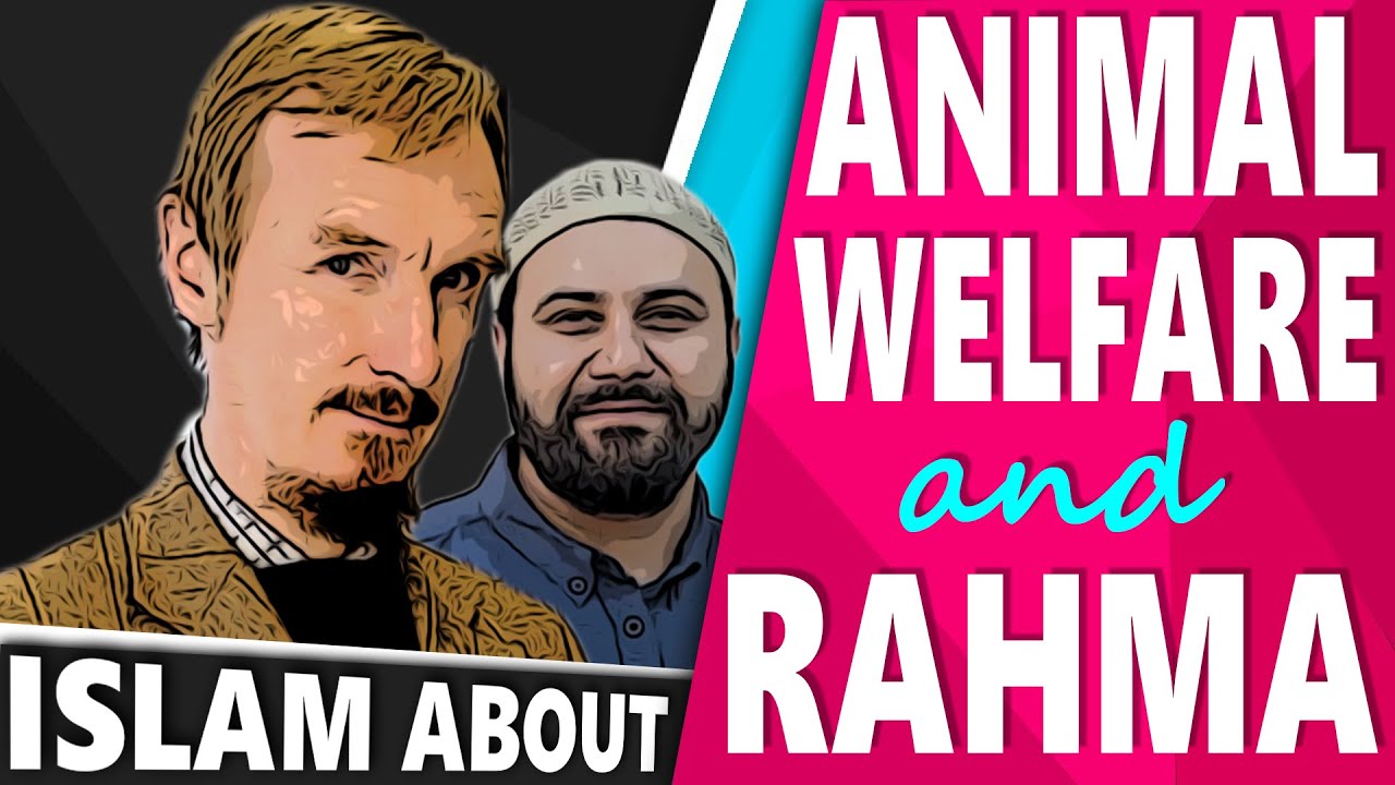 ANIMALS IN ISLAM | ABOUT ANIMAL WELFARE AND RAHMA - YouTube