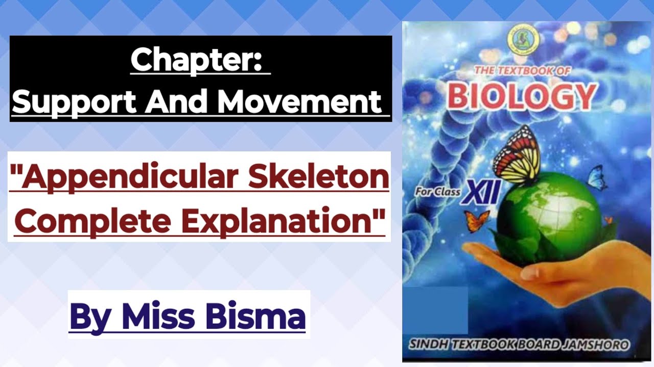 XII Biology Chp Support And Movement Appendicular skeleton division ...