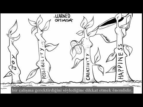 Pozitif Psikoloji Nedir?