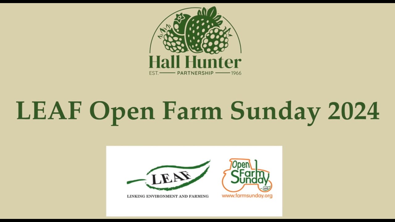 Open Farm Sunday - Hall Hunter Partnership - Tuesley Farm 2024 - YouTube