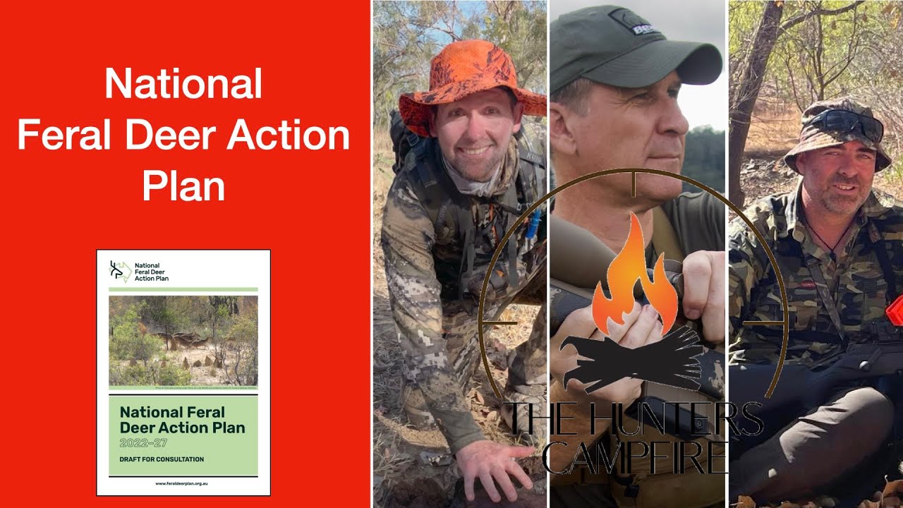 HCP - EP49 - Our take on the National Feral Deer Action Plan - YouTube